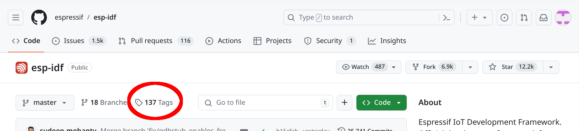 Setting Up the ESP-IDF Environment – Strawbeo